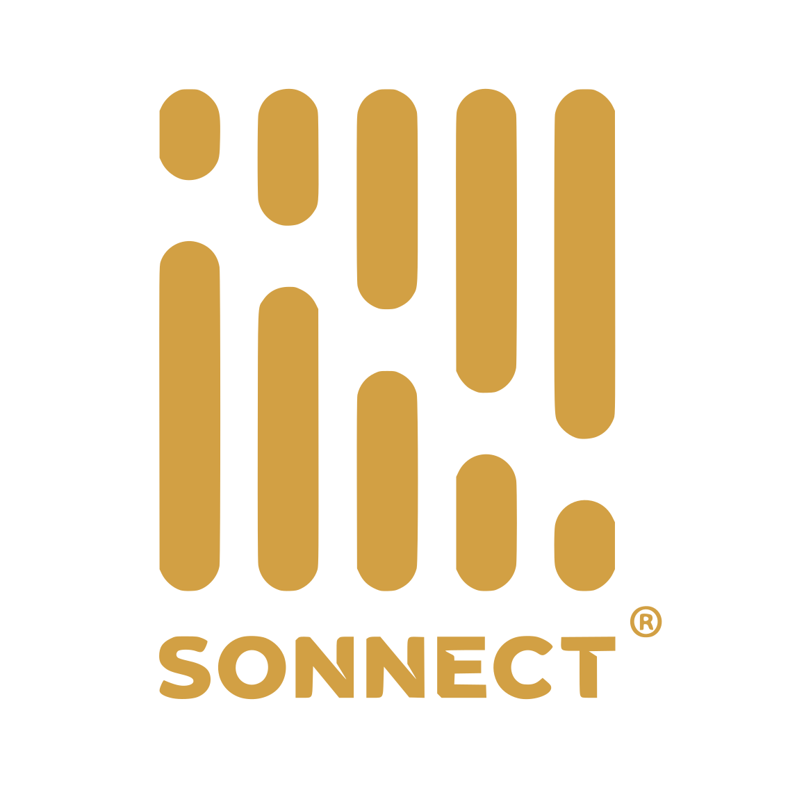 Sonnect – Sonic Evolution India
