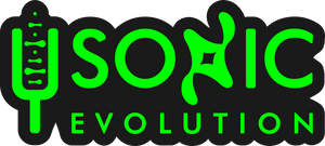 Sonic Evolution India